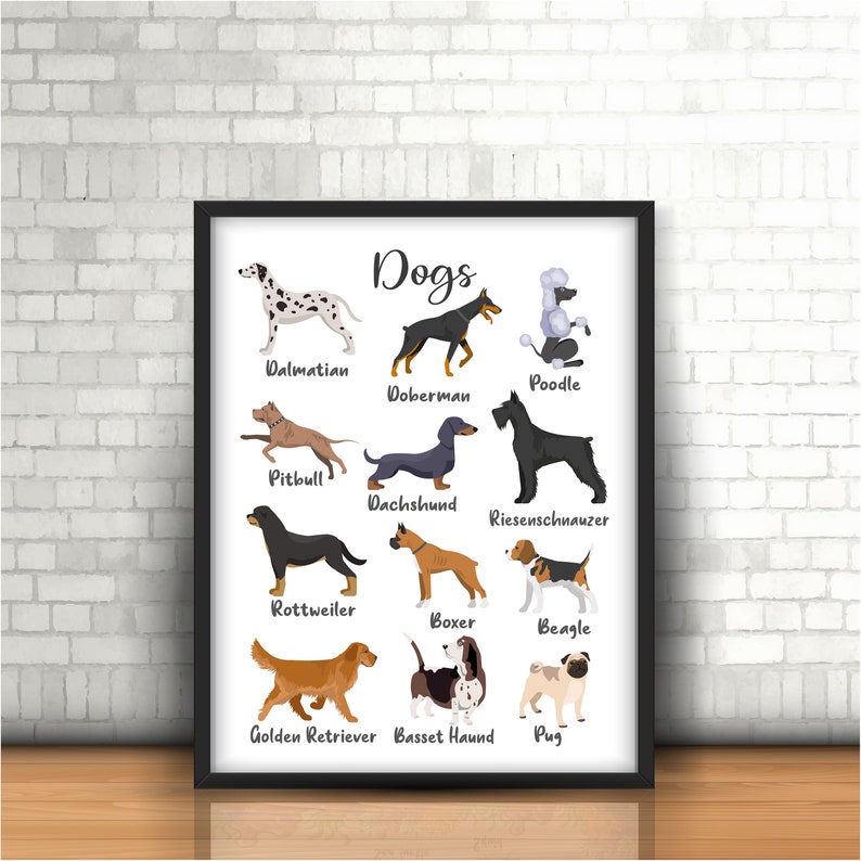 Dog Breed Poster Montessori Toddler Dog Breeds Poster For | Etsy