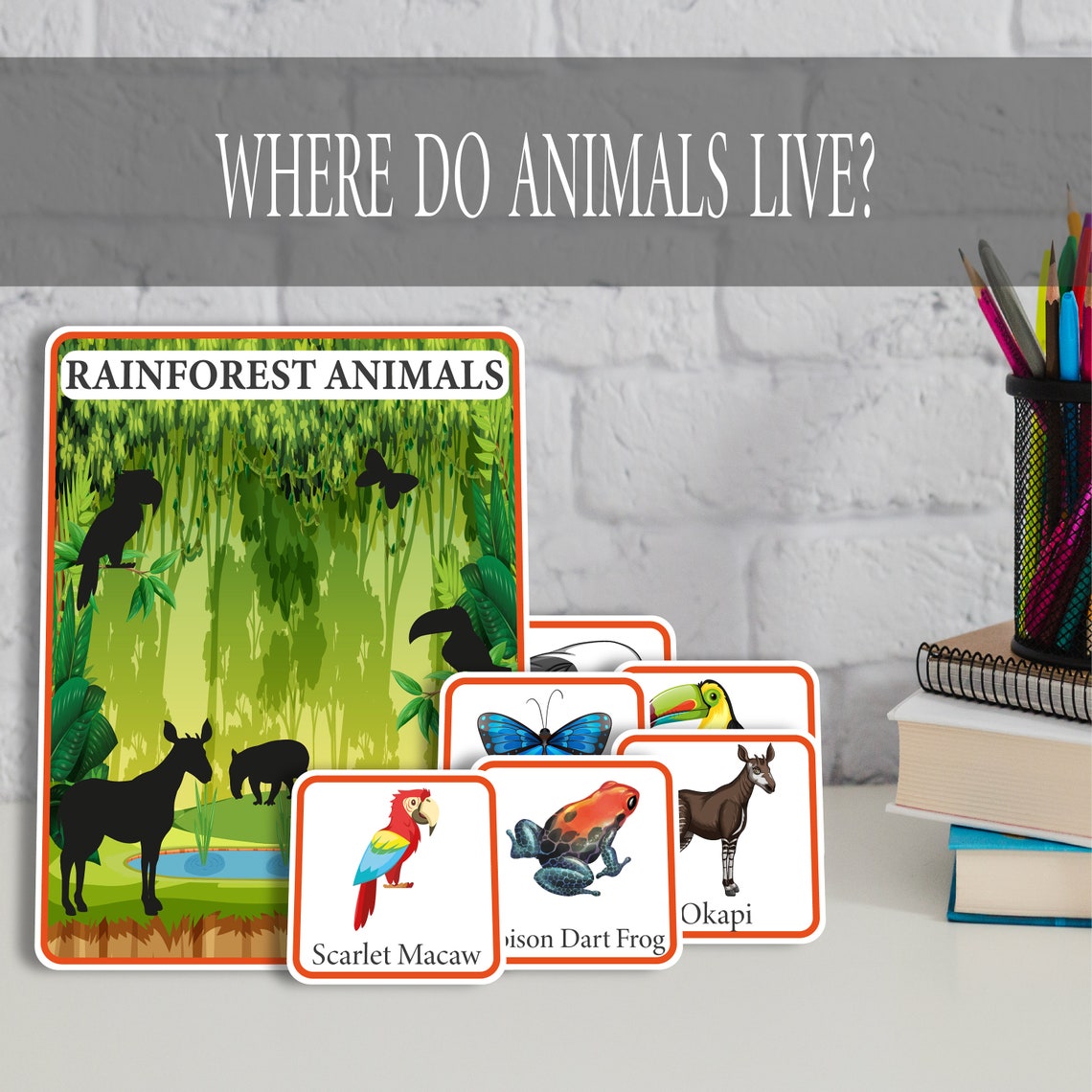 Where Do Animals Live Matching Game Cards, Montessori Toddler Matching ...