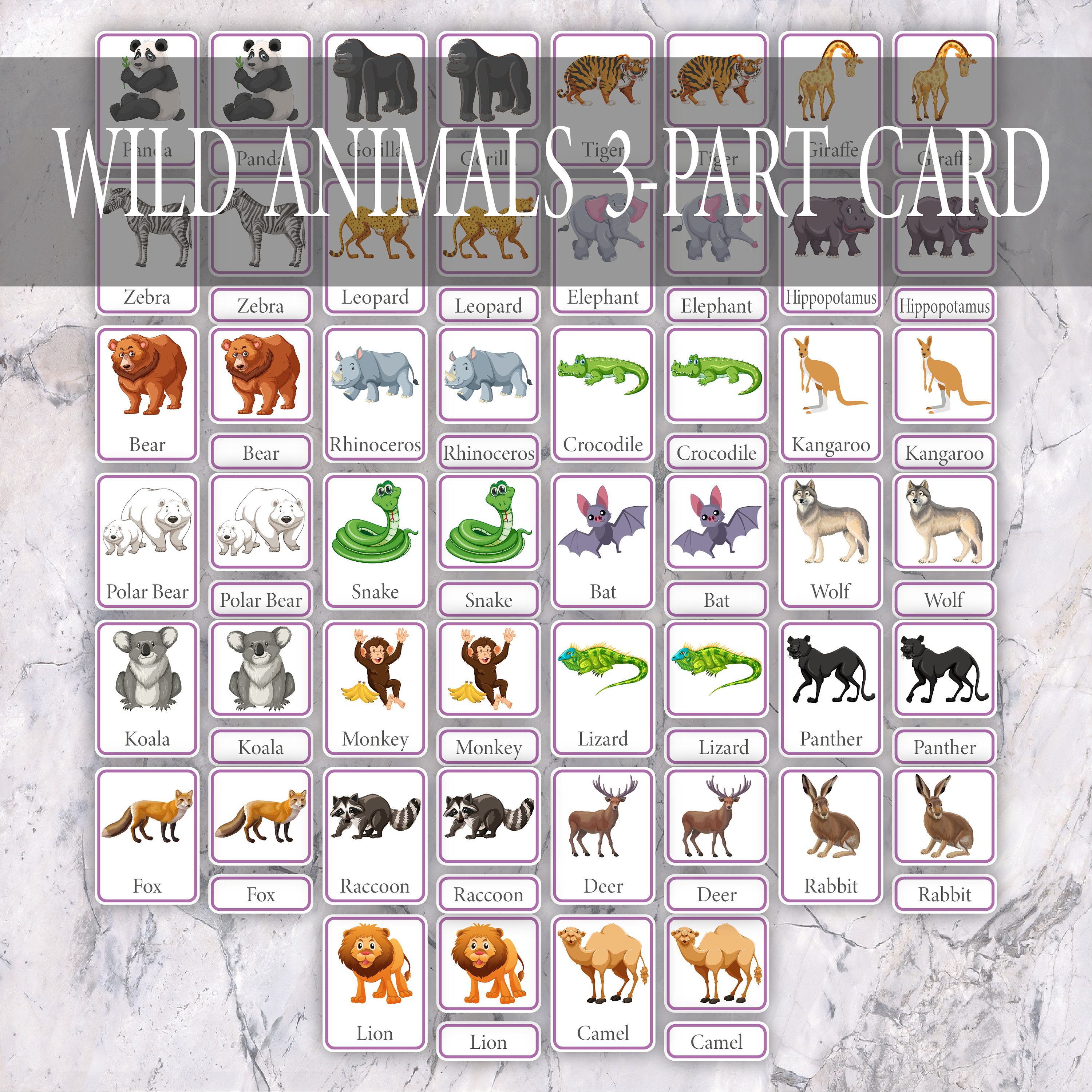 Wild Animals Flash Cards: Montessori Jungle Animals (PDF) - Etsy