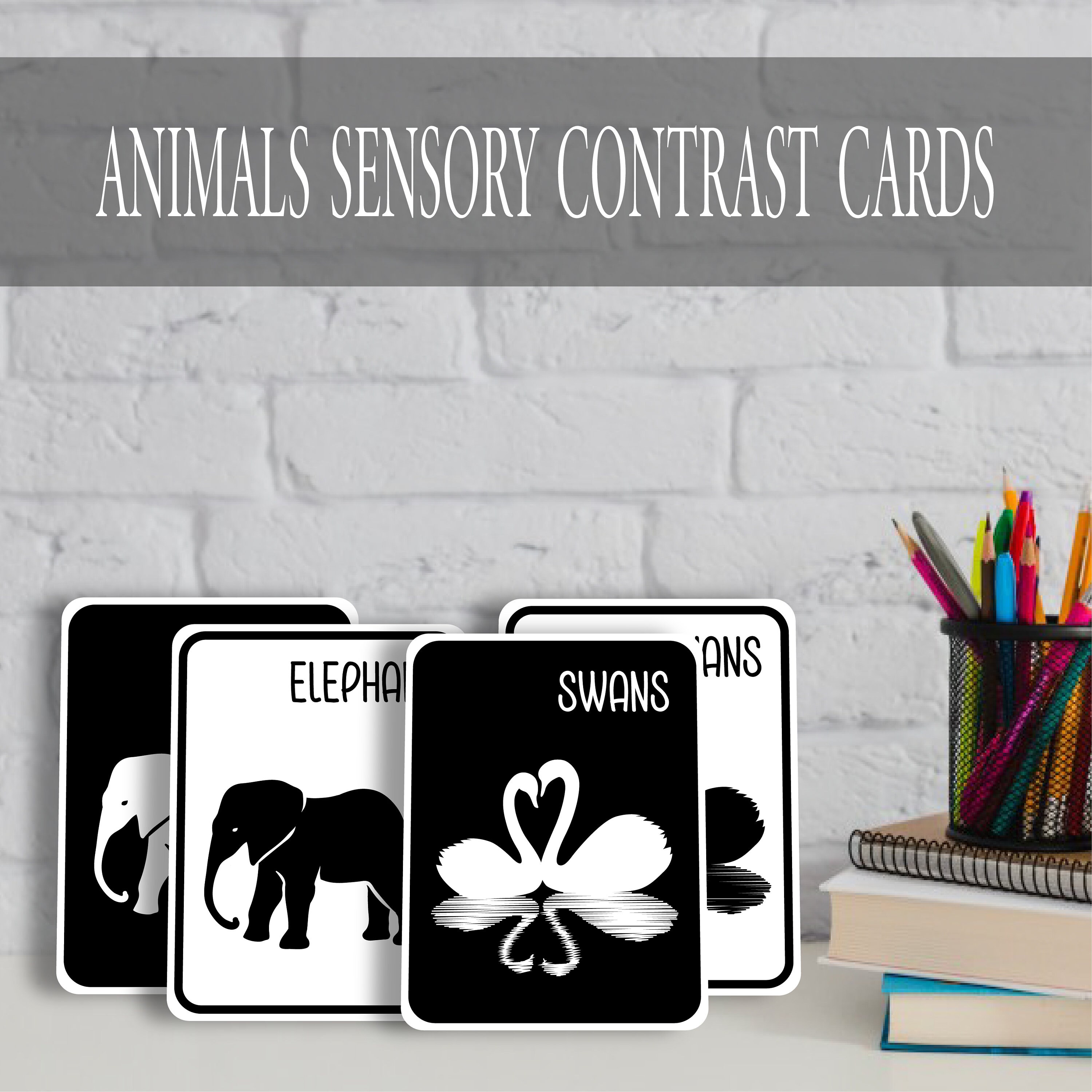 Animals With Names High Contrast Baby Cards, Baby Contrast Cards for ...
