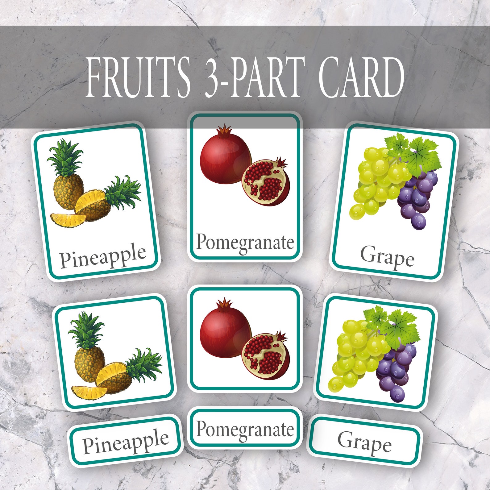 FRUITS Three Part Flash Cards Montessori Preschool Toddler - Etsy
