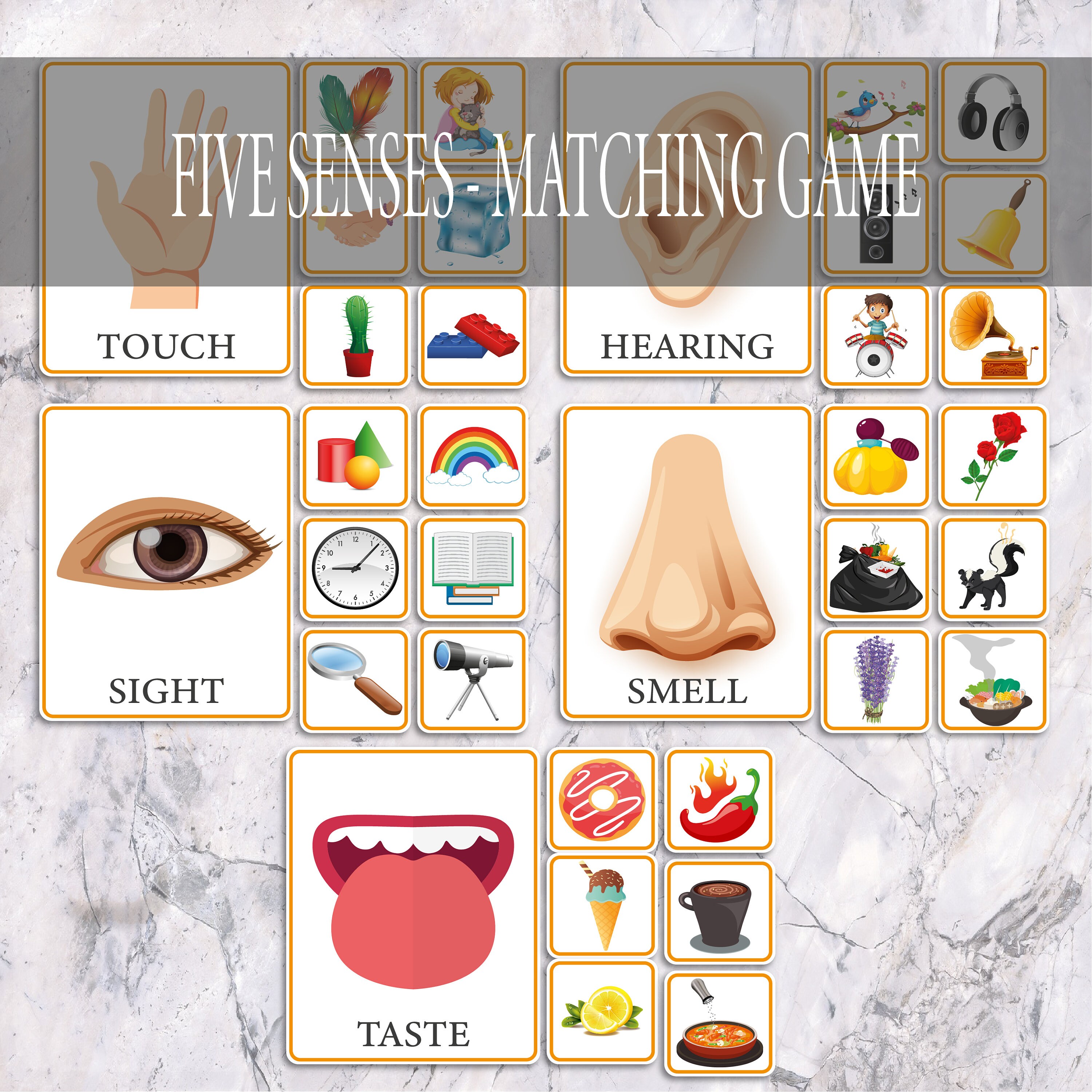 Five Senses Matching Game Cards: Montessori Early Learning (PDF) - Etsy ...