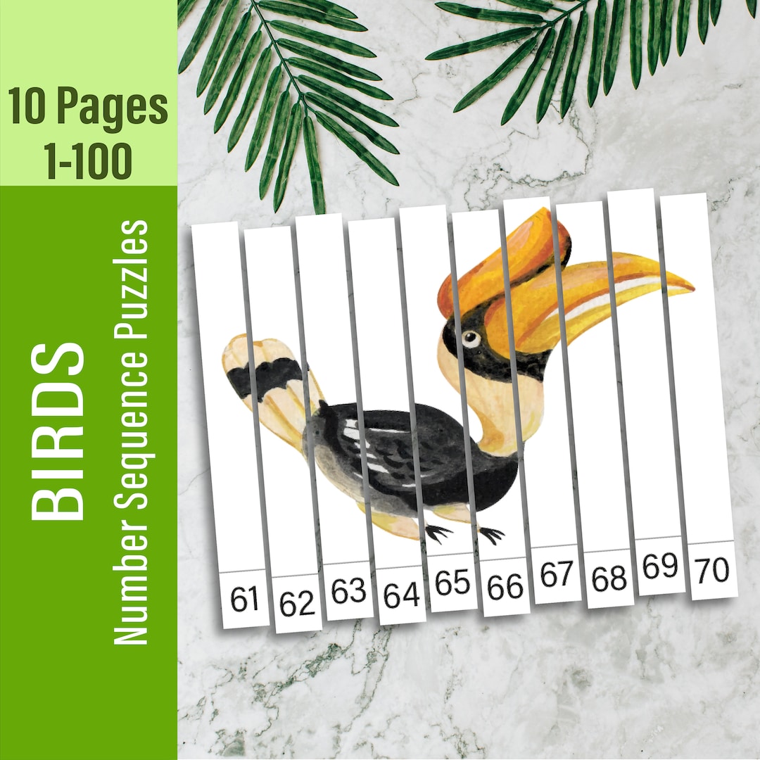 Bird Number Sequence Puzzle: Printable Math Game (PDF) - Etsy