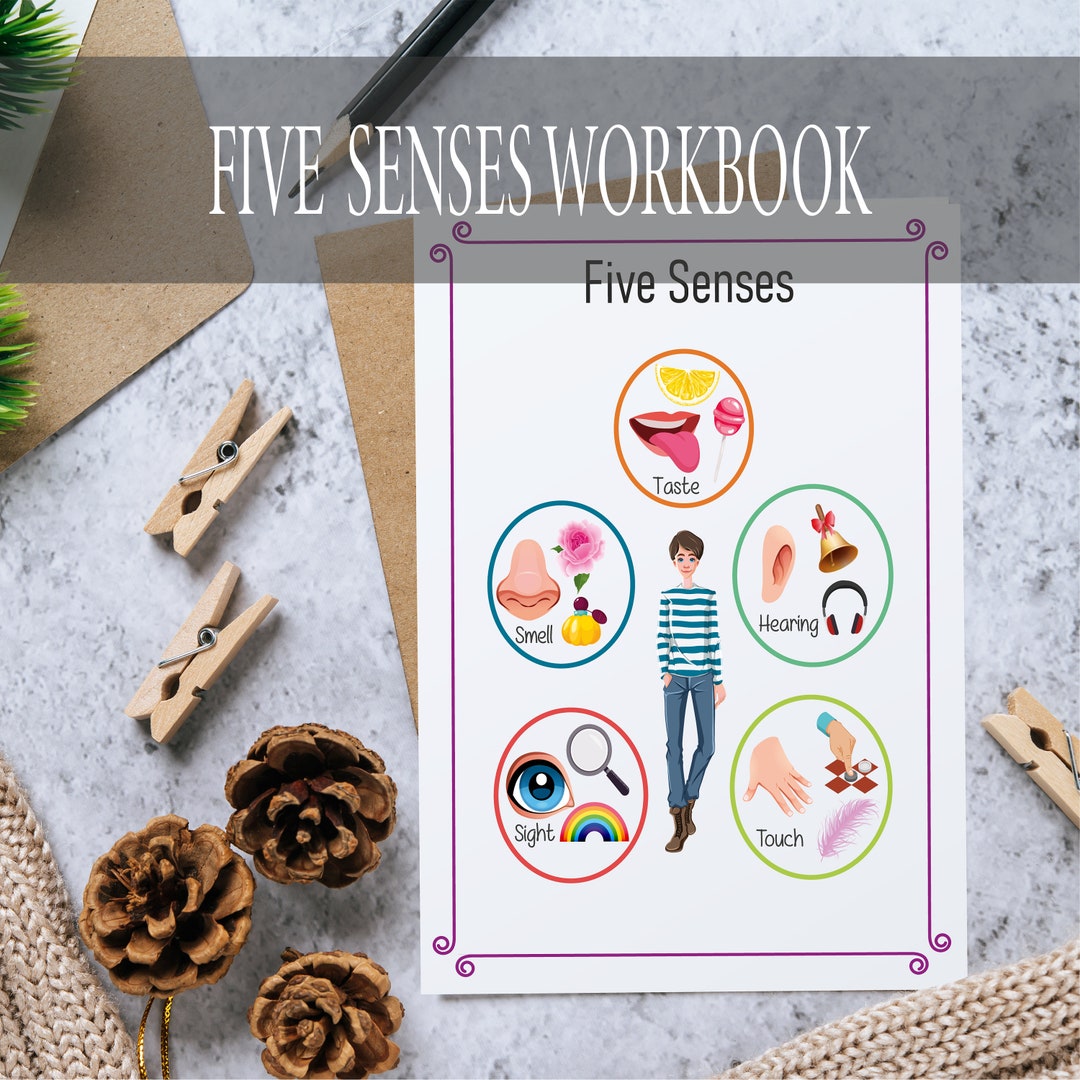 Five Senses Printable Toddler Busy Book, Montessori Five Senses ...
