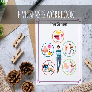Five Senses Printable Toddler Busy Book, Montessori Five Senses ...