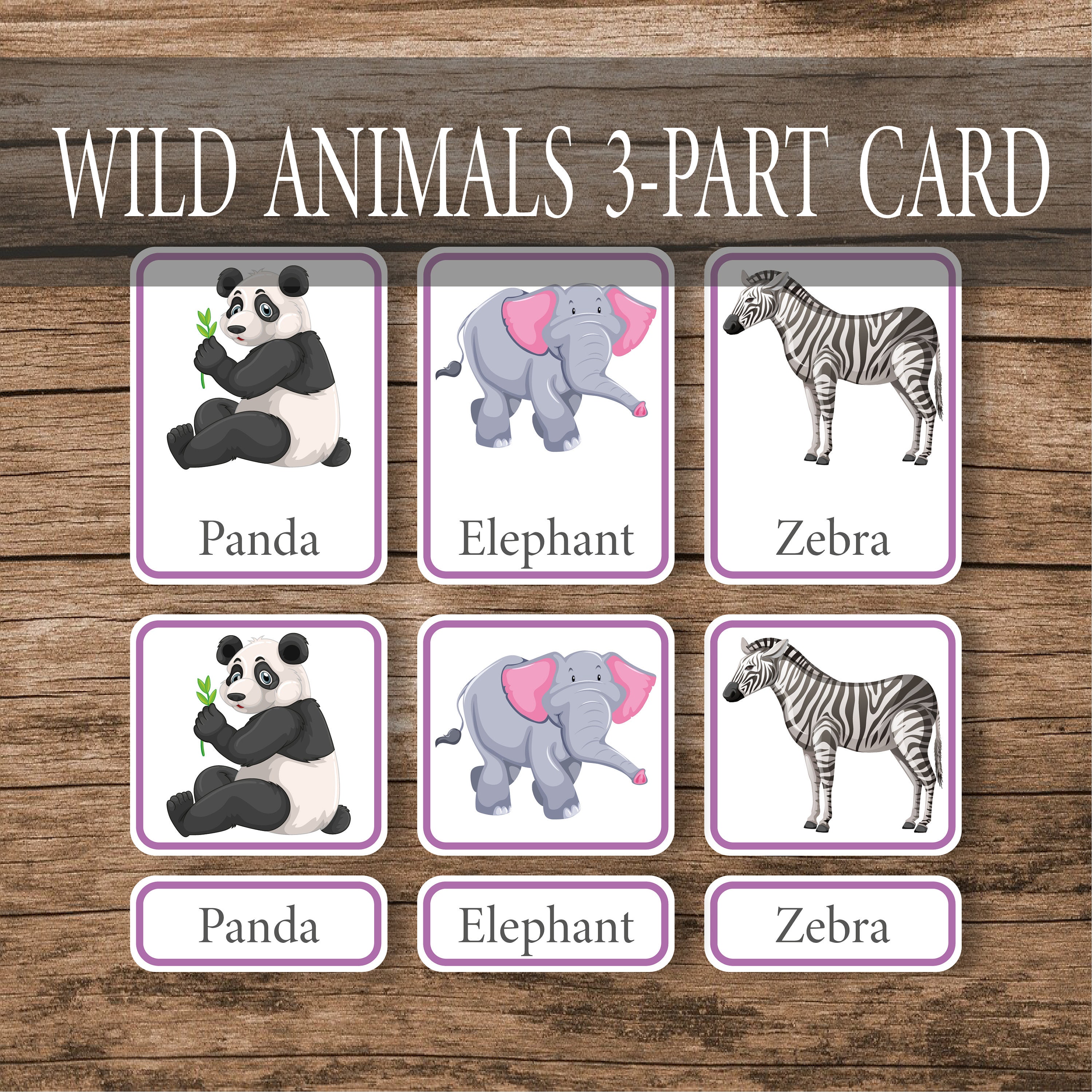 Wild Animals Flash Cards: Montessori Jungle Animals (PDF) - Etsy