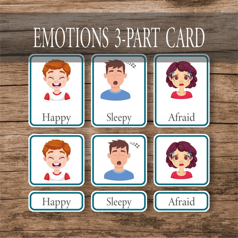 Emotion Flashcards Feelings Flash Cards Montessori - Etsy