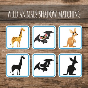 Wild Animals Shadow Matching Game Cards, Montessori Toddler Matching ...