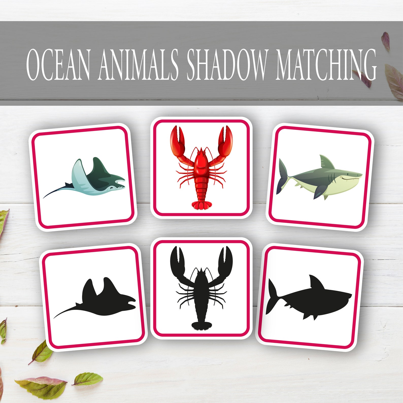 Ocean Animals Shadow Matching Game Cards Montessori Toddler - Etsy