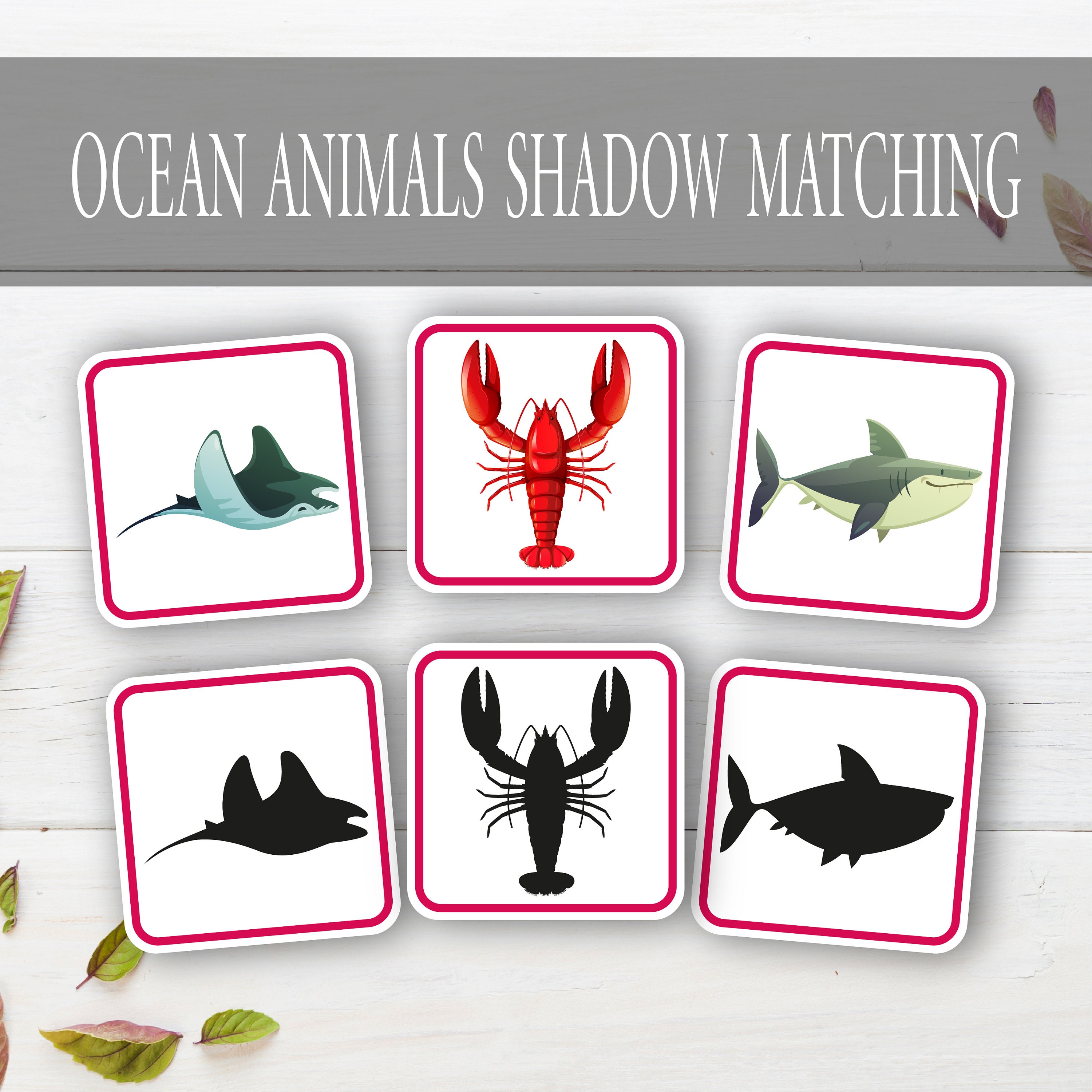Ocean Animals Shadow Matching Game Cards Montessori Toddler - Etsy Canada
