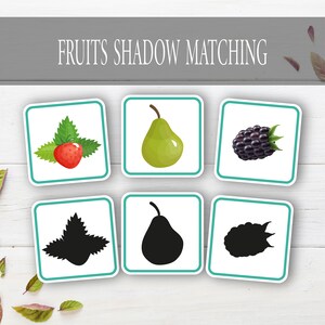 Fruits Shadow Matching Game Cards, Montessori Toddler Matching Game ...