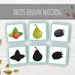 Fruits Shadow Matching Game Cards, Montessori Toddler Matching Game ...