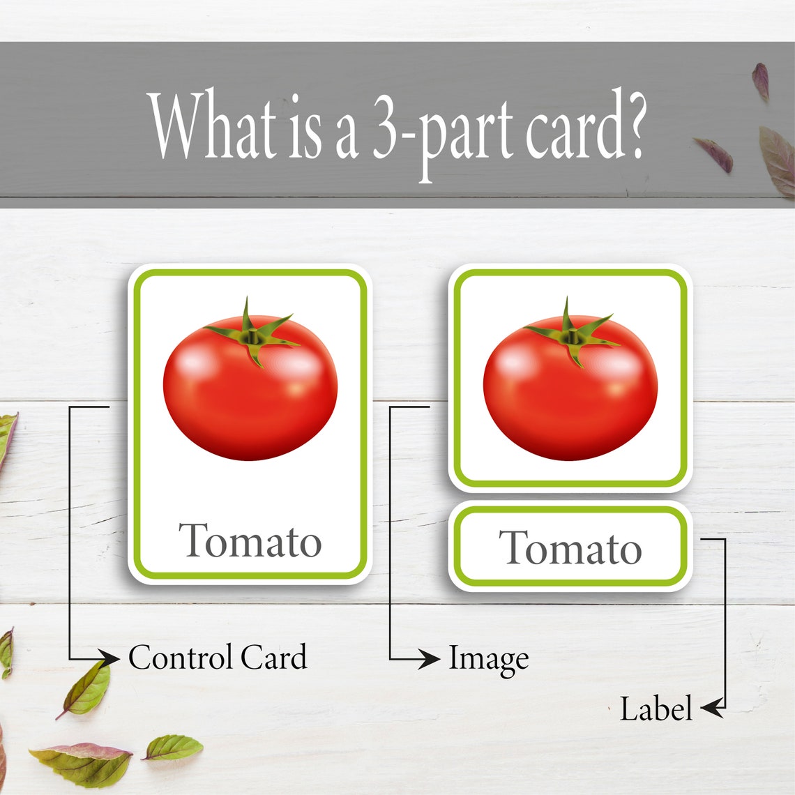 VEGETABLES Three Part Flash Cards Montessori Resources - Etsy