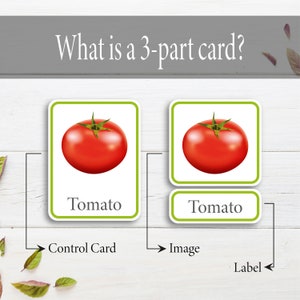 VEGETABLES Three Part Flash Cards, Montessori Resources, Toddler ...