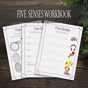 Five Senses Printable Toddler Busy Book, Montessori Five Senses ...