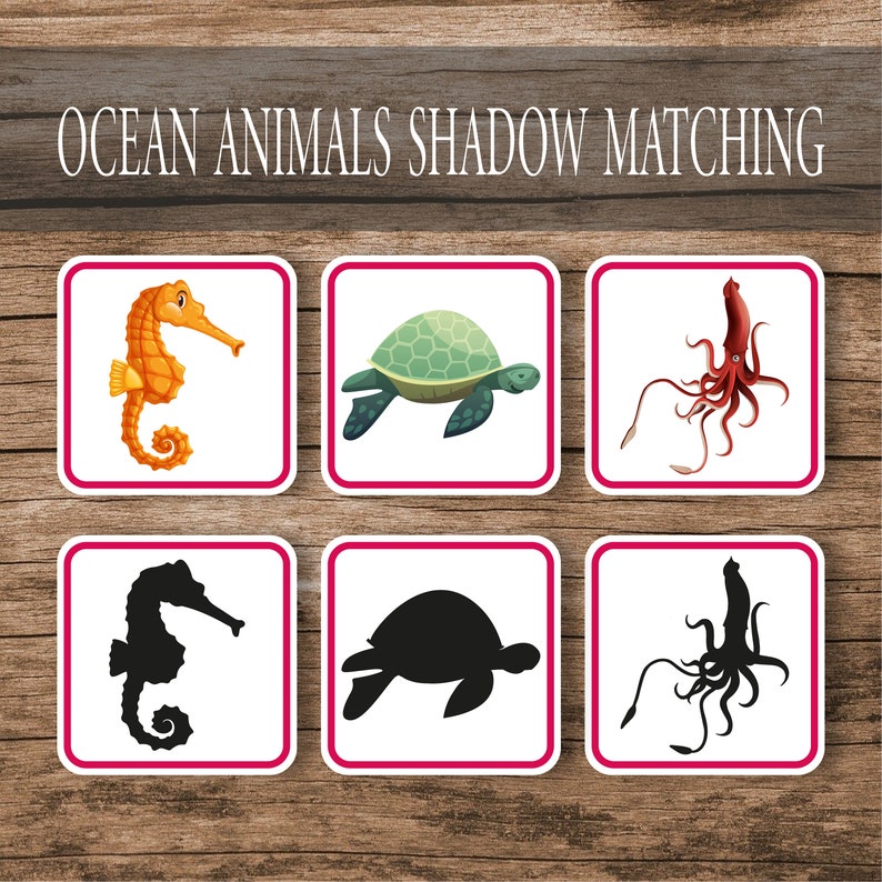 Ocean Animals Shadow Matching Game Cards Montessori Toddler - Etsy