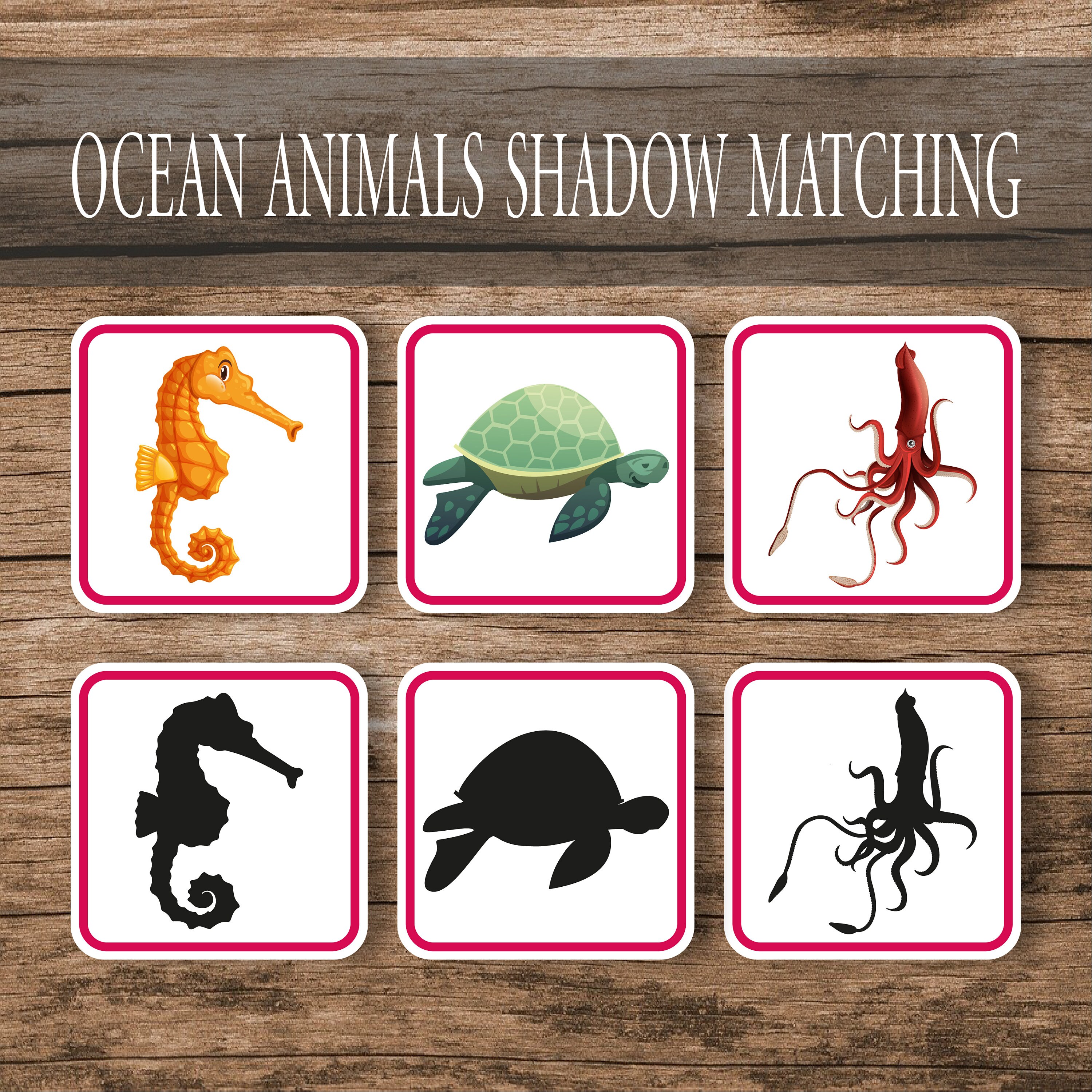 Ocean Animals Shadow Matching Game Cards Montessori Toddler - Etsy Canada
