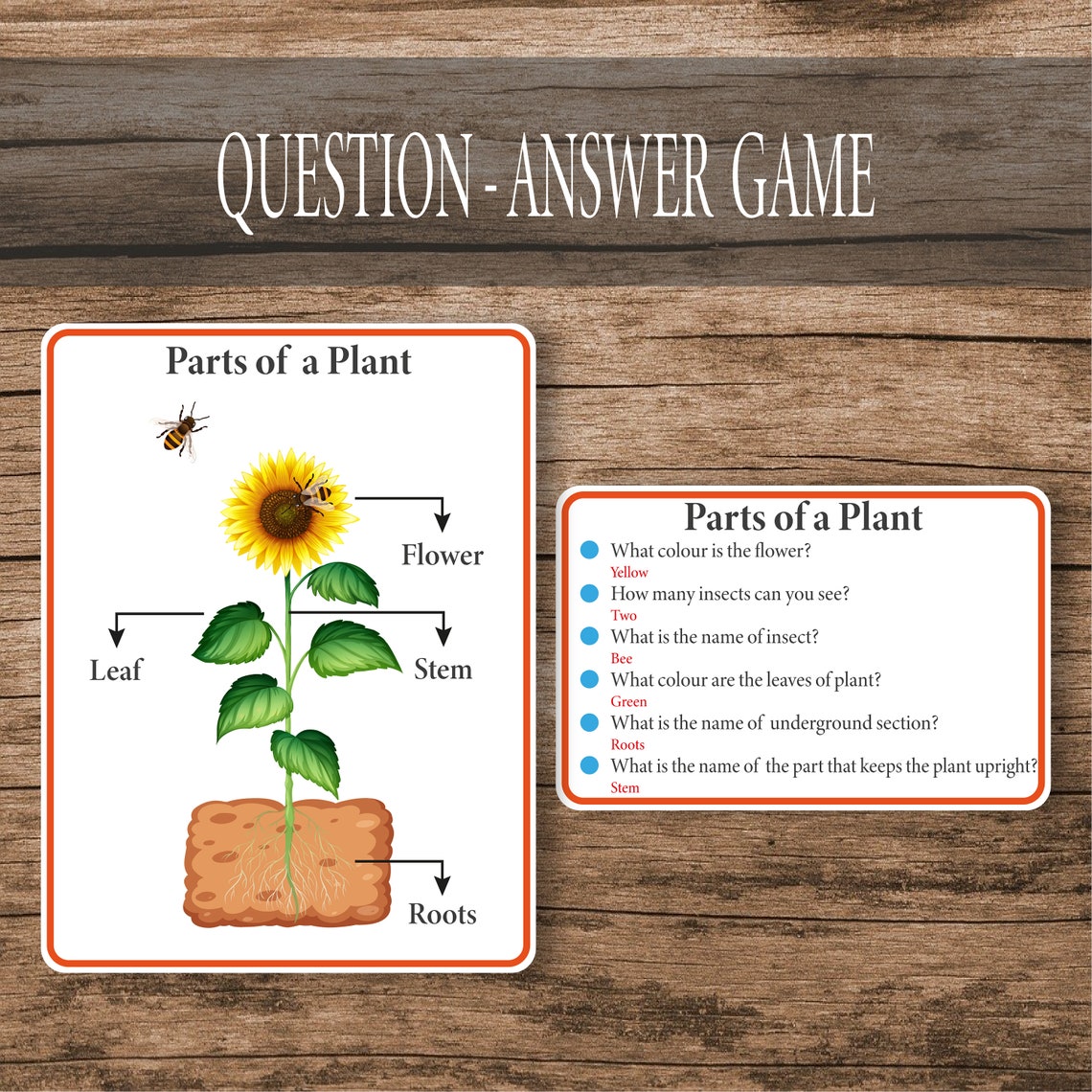 Biology Question-answer Game Cards, Montessori Toddler Game Cards for ...