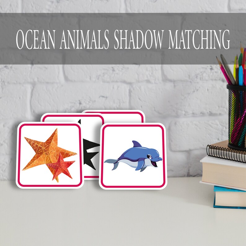 Ocean Animals Shadow Matching Game Cards Montessori Toddler - Etsy
