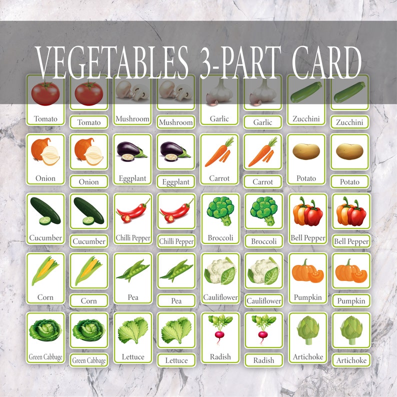 VEGETABLES Three Part Flash Cards Montessori Resources - Etsy