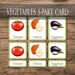 VEGETABLES Three Part Flash Cards Montessori Resources - Etsy