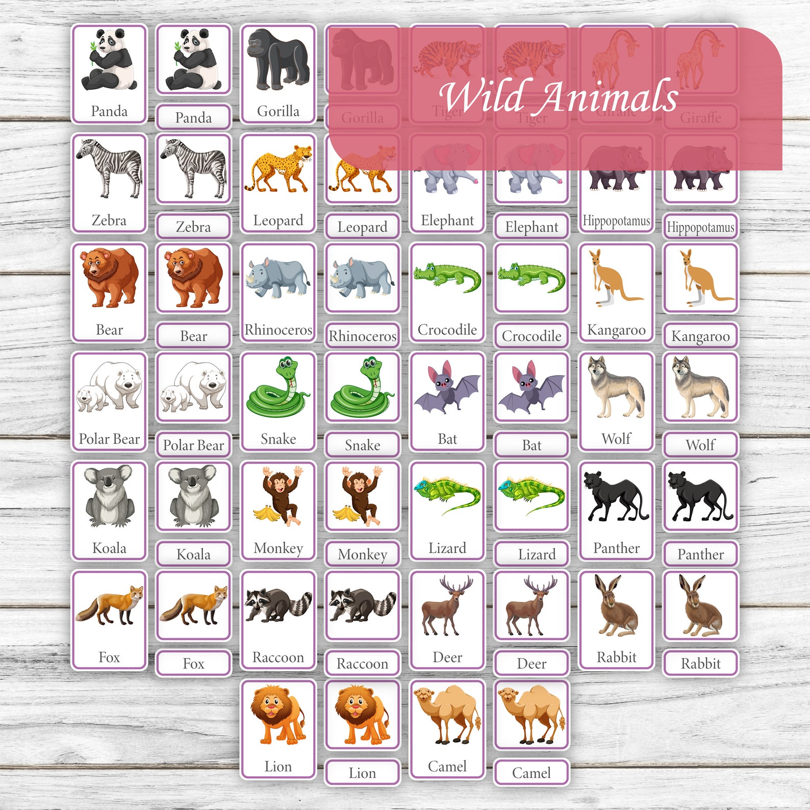 Animal Flashcards Set: Life Cycle, Tangram Game (PDF) - Etsy