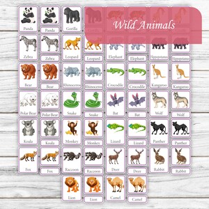Animal Flashcards Set: Life Cycle, Tangram Game (PDF) - Etsy