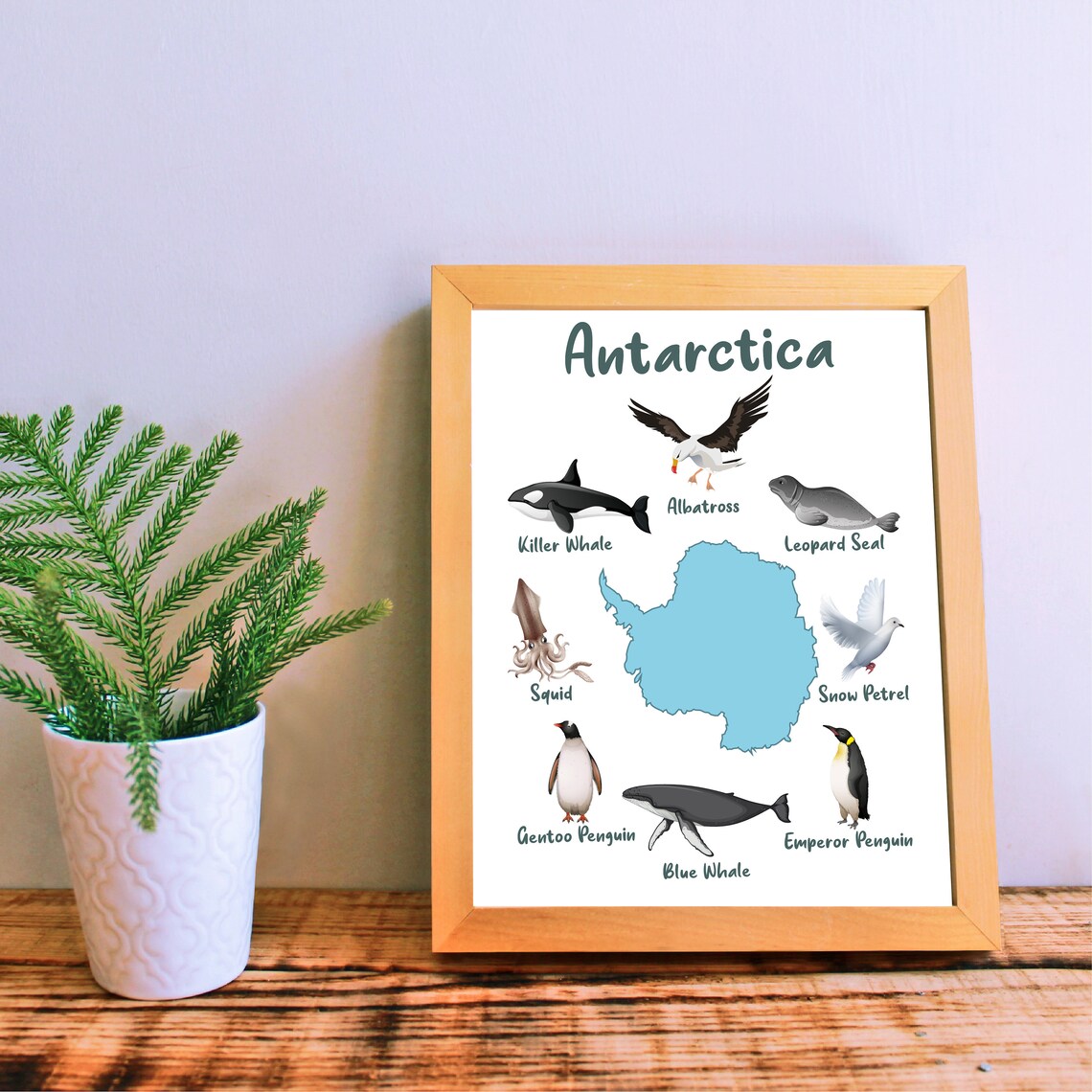 Antarctica Animals Poster antarctica Animals Illustration - Etsy