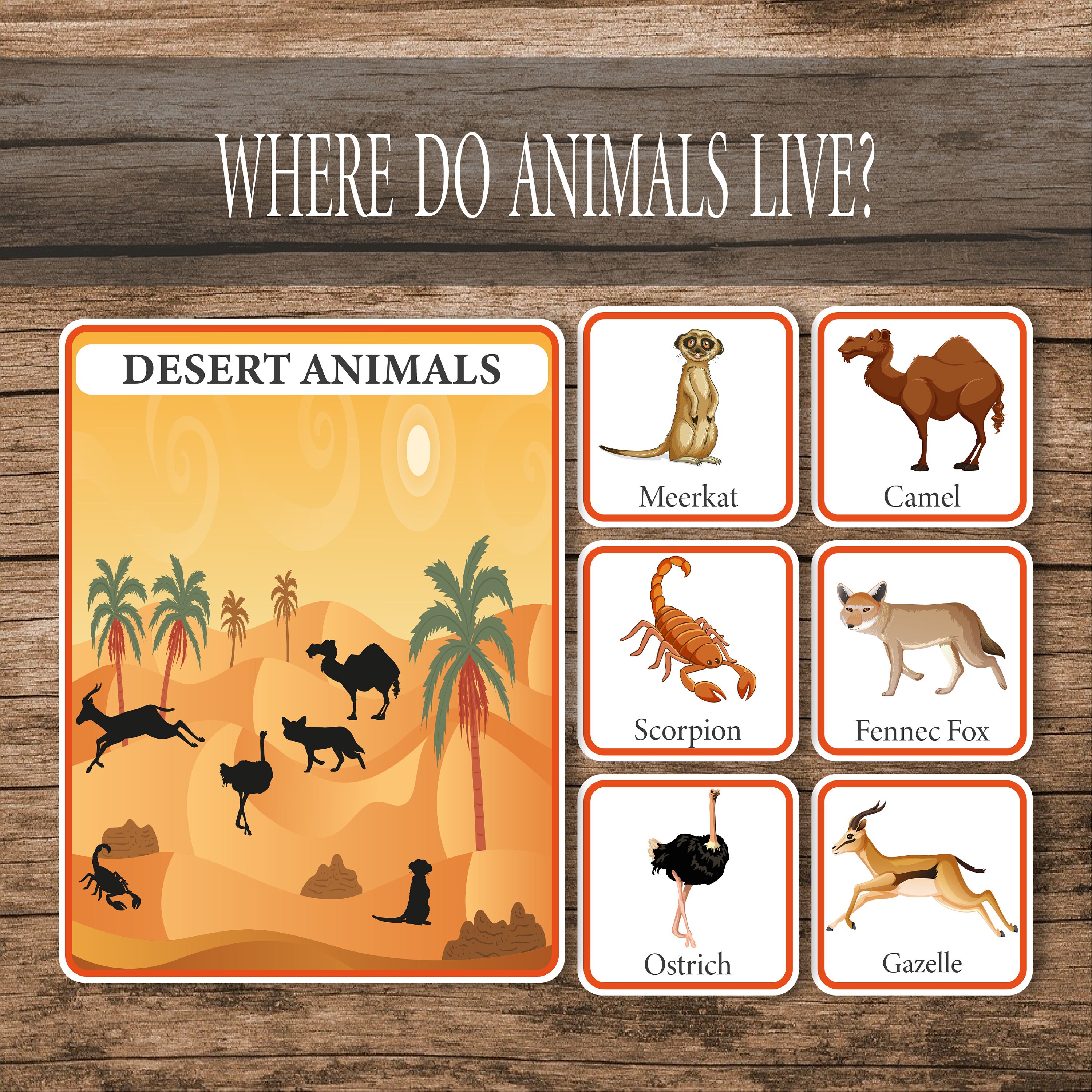 Where Do Animals Live Matching Game Cards, Montessori Toddler Matching ...