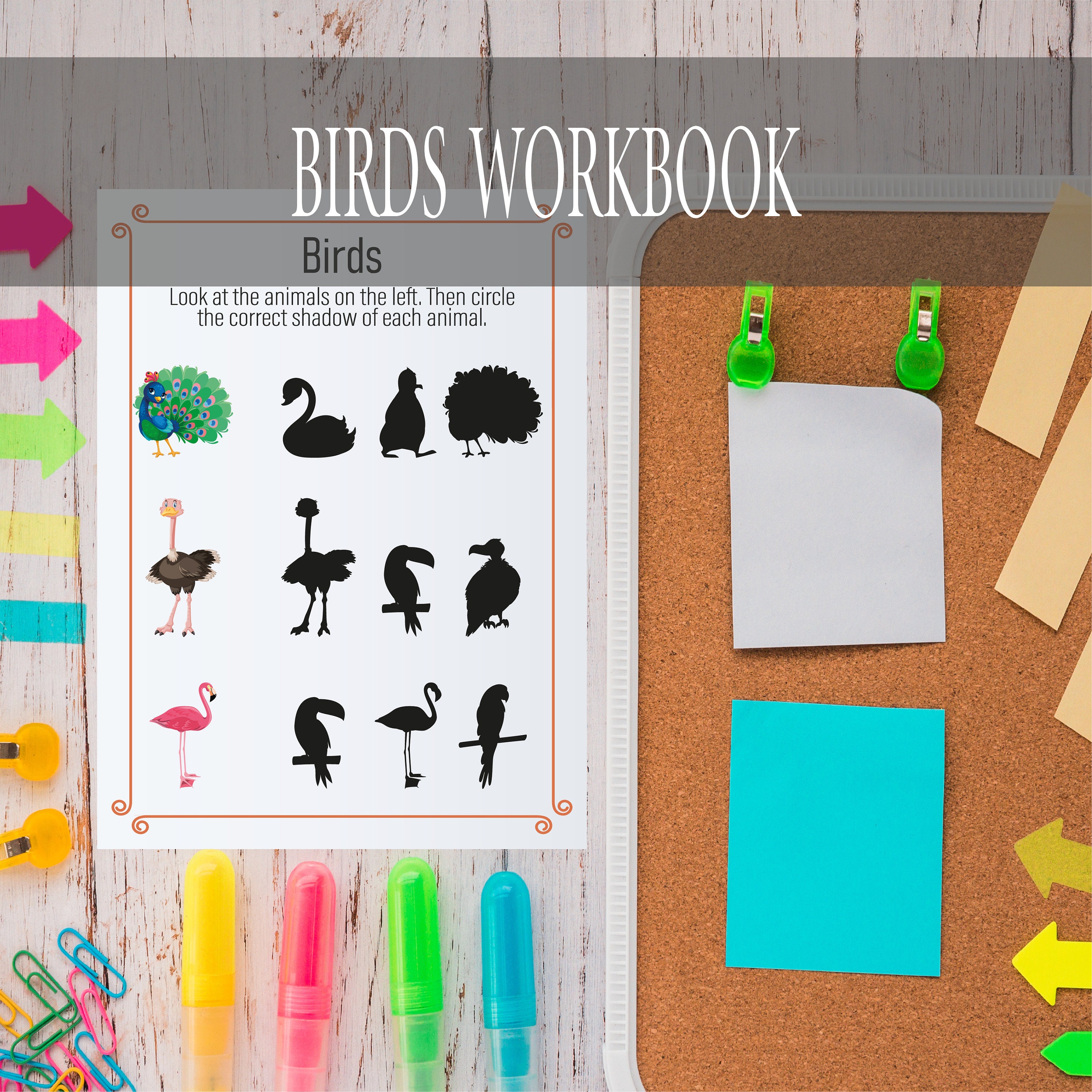 Bird Printable Toddler Busy Book, Montessori Toddler Animal Worksheet ...