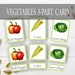 VEGETABLES Three Part Flash Cards Montessori Resources - Etsy
