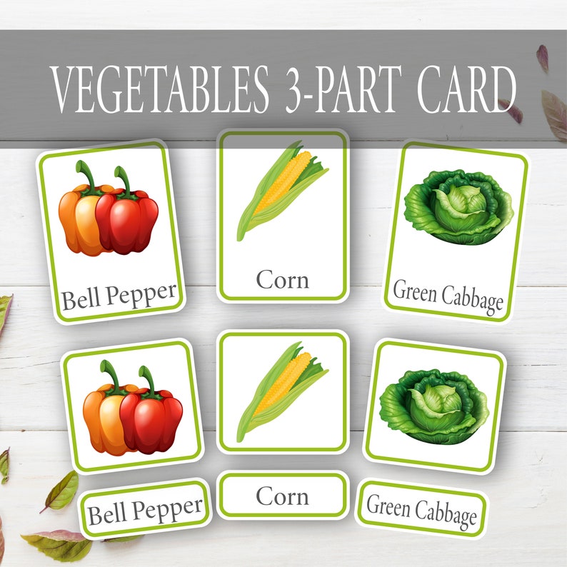 VEGETABLES Three Part Flash Cards Montessori Resources - Etsy