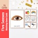 Five Senses Matching Game Cards: Montessori Early Learning (PDF) - Etsy