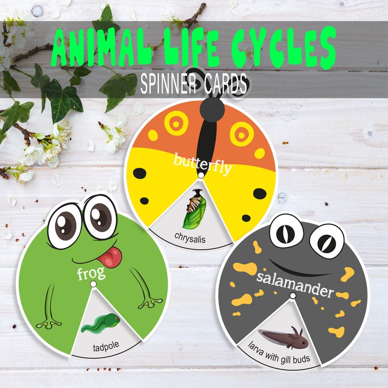 Animal Life Cycle Spinner Cards: Montessori Educational Toy (digital ...