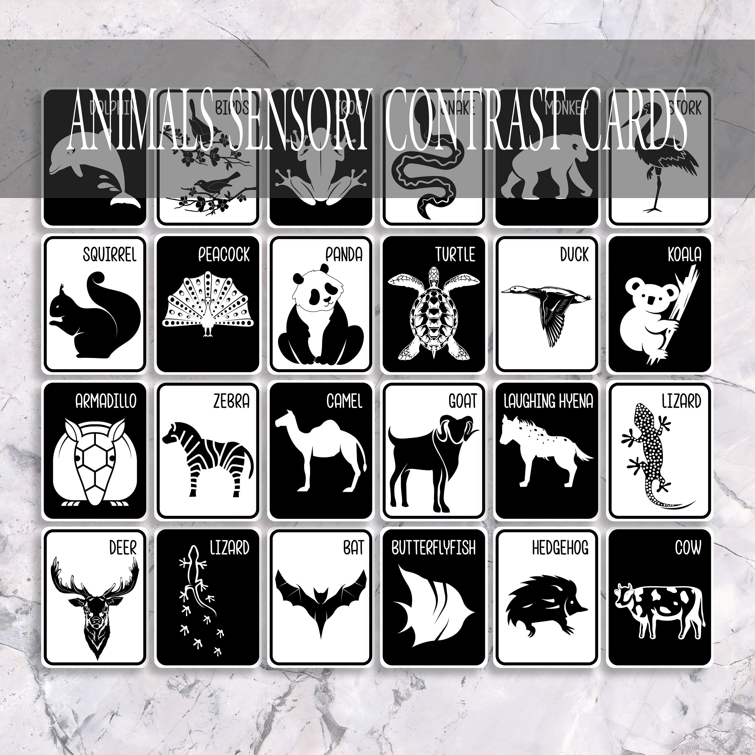 Animals With Names High Contrast Baby Cards, Baby Contrast Cards for ...