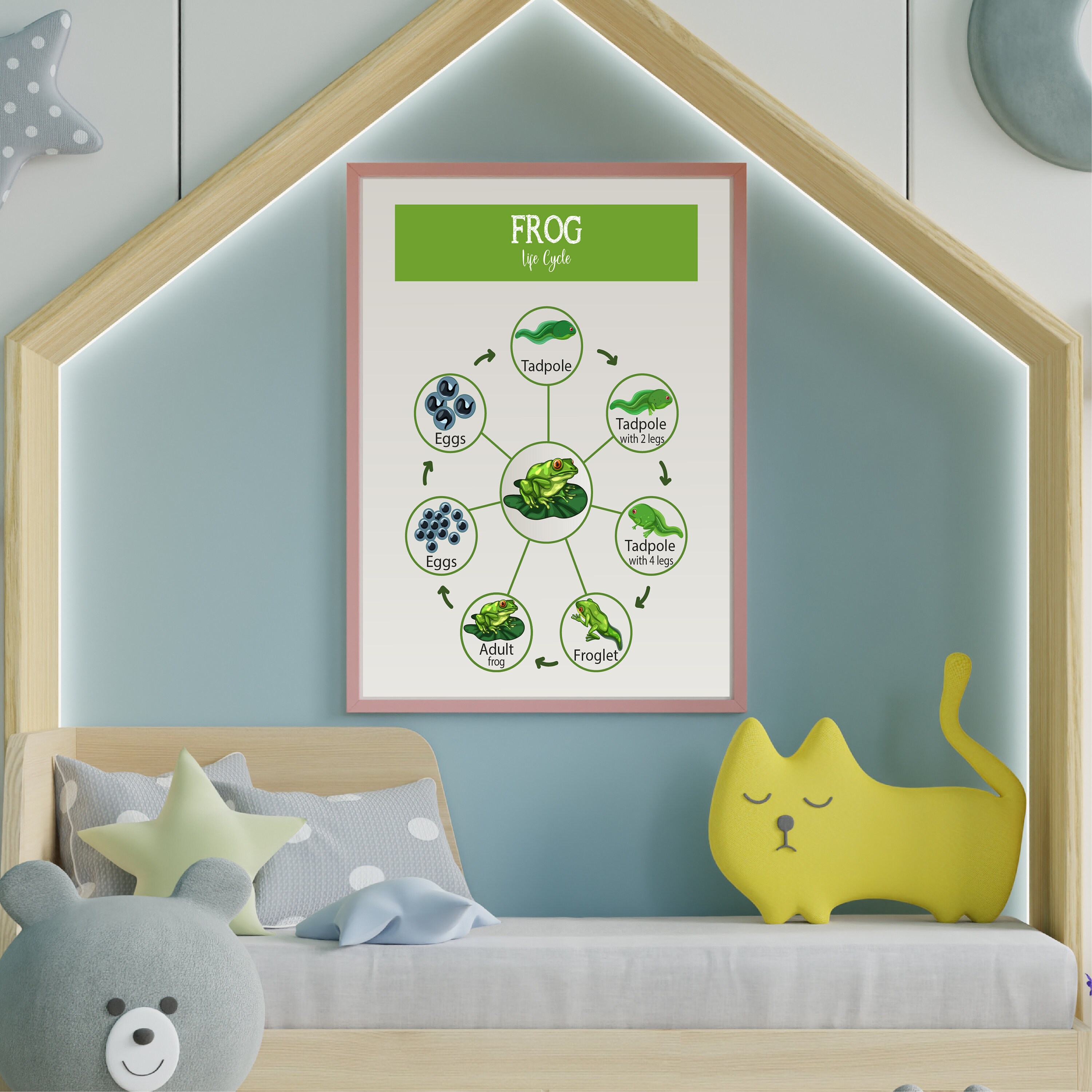 Life Cycle of a Frog Poster, Playroom Montessori Wall Art, Nursery ...