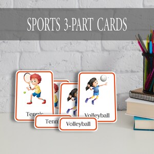 Sports Three Part Flash Cards, Toddler Flashcards for Kids, Early ...