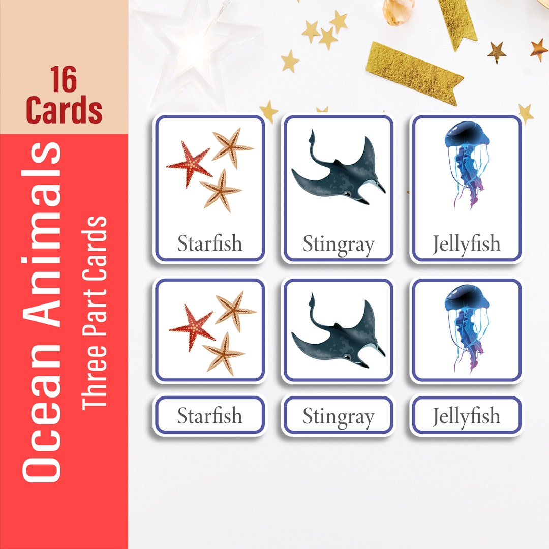 Ocean Animals Flash Cards: Montessori Learning, Homeschool Printable ...