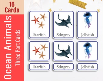 FRUITS Three Part Flash Cards Montessori Preschool Toddler | Etsy