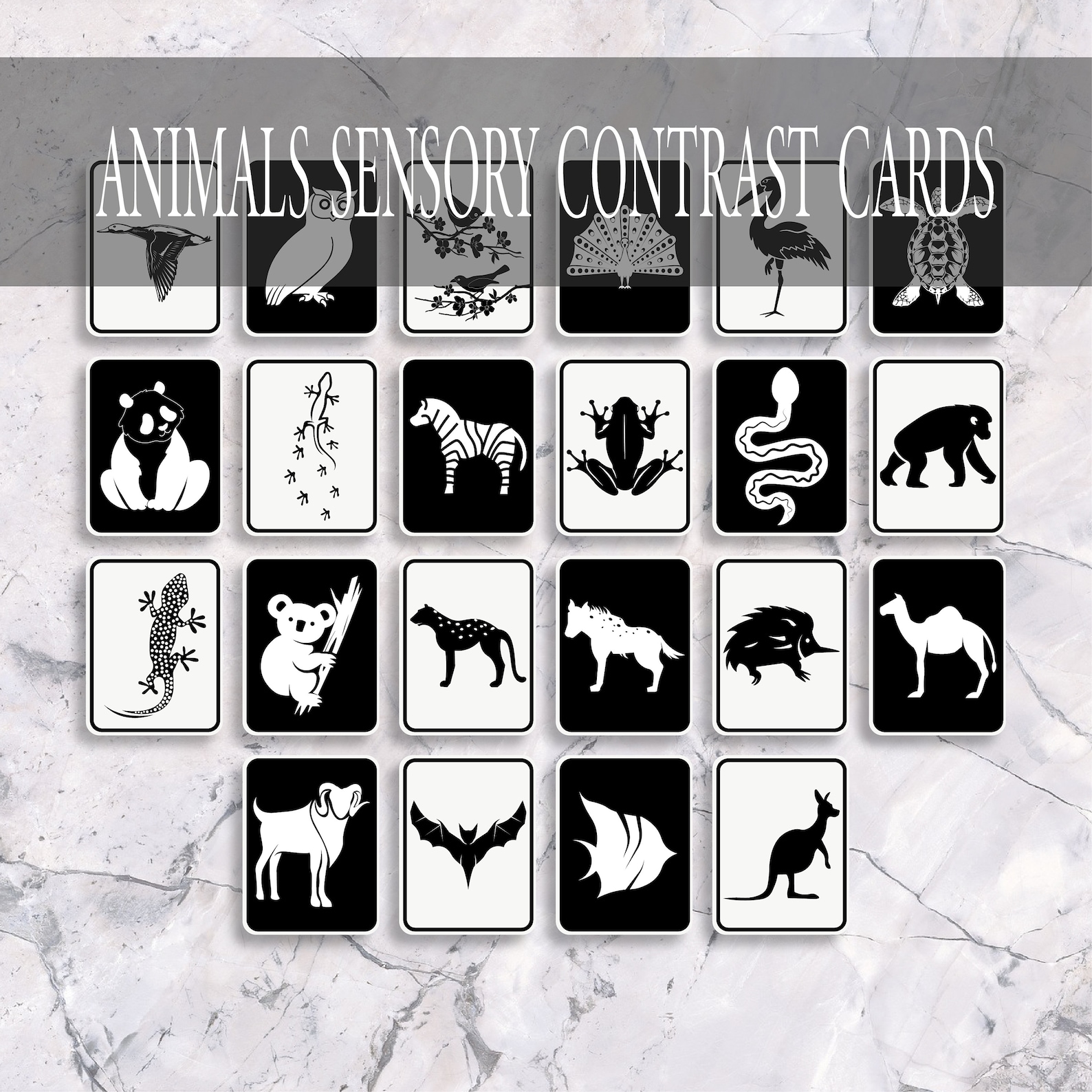 Animals High Contrast Baby Cards: Newborn Sensory Activity (printable ...