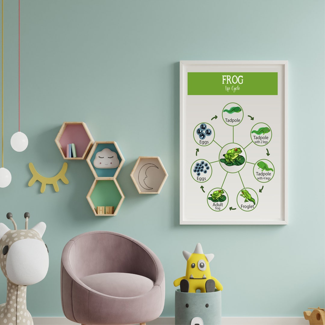Life Cycle of a Frog Poster, Playroom Montessori Wall Art, Nursery ...