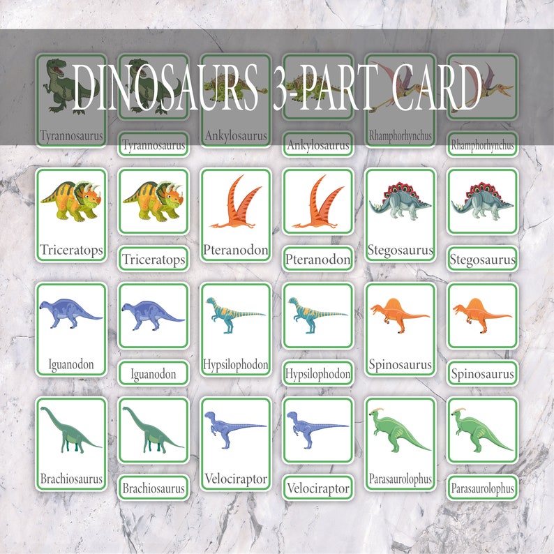 DINOSAURS Three Part Flash Cards, Montessori Printable Flashcards ...