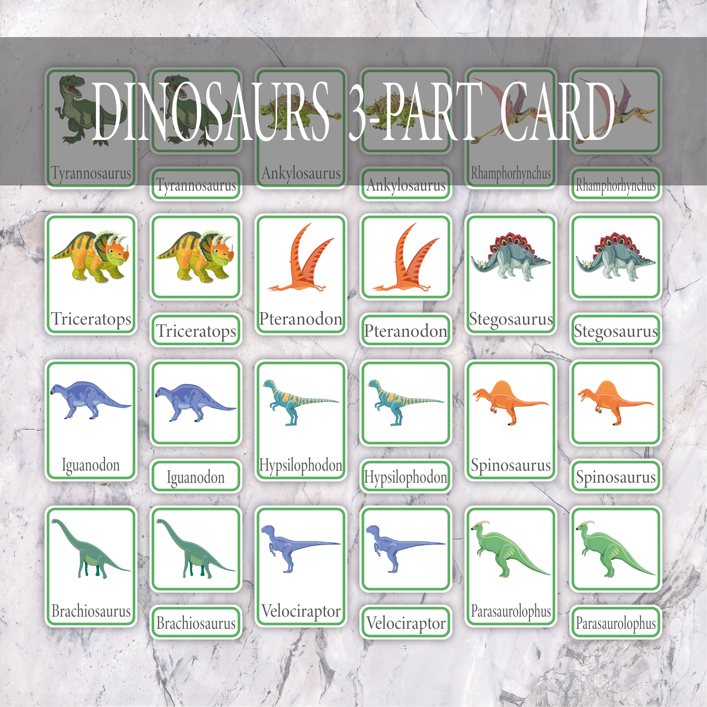 DINOSAURS Three Part Flash Cards, Montessori Printable Flashcards ...