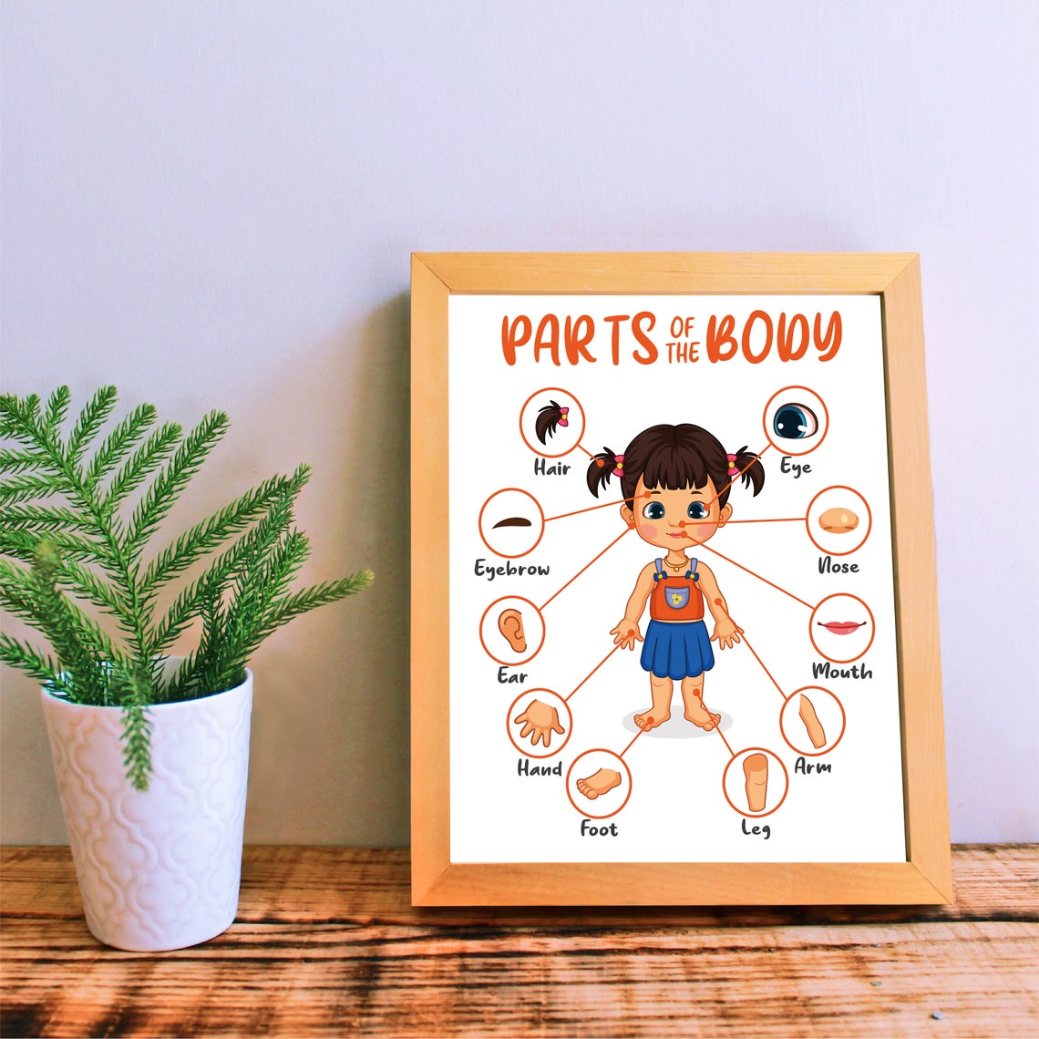 Parts of Body Poster Printable Educational Human Body Poster - Etsy