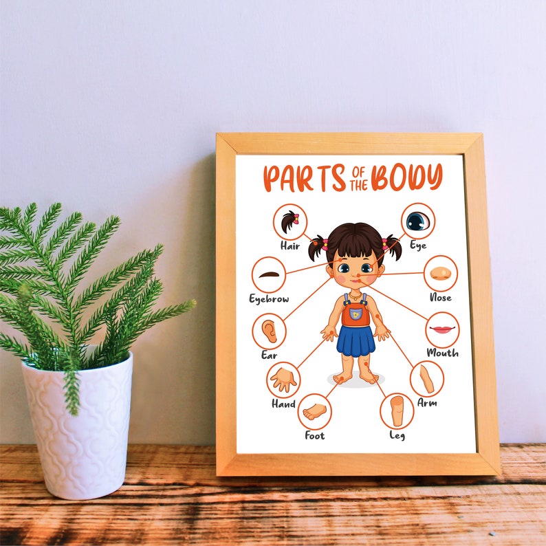 Parts of Body Poster Printable Educational Human Body Poster - Etsy