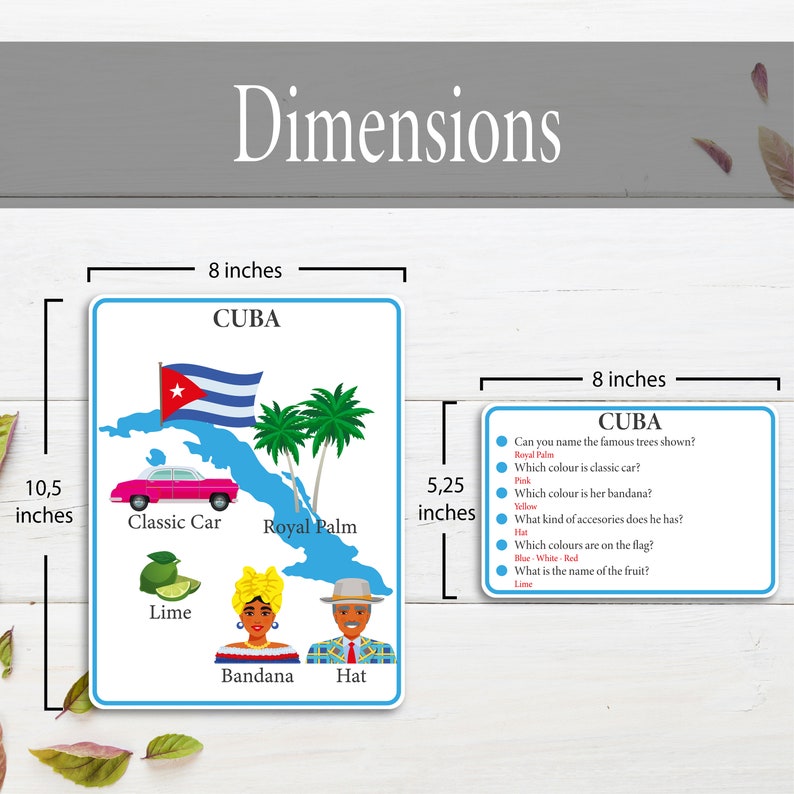 Countries Question-answer Game Cards, Montessori Toddler Game Cards for ...