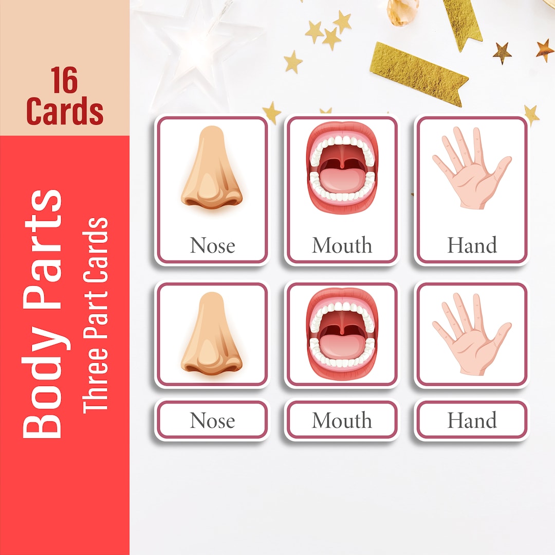 BODY PARTS Three Part Flash Cards, Printable Montessori Toddler ...
