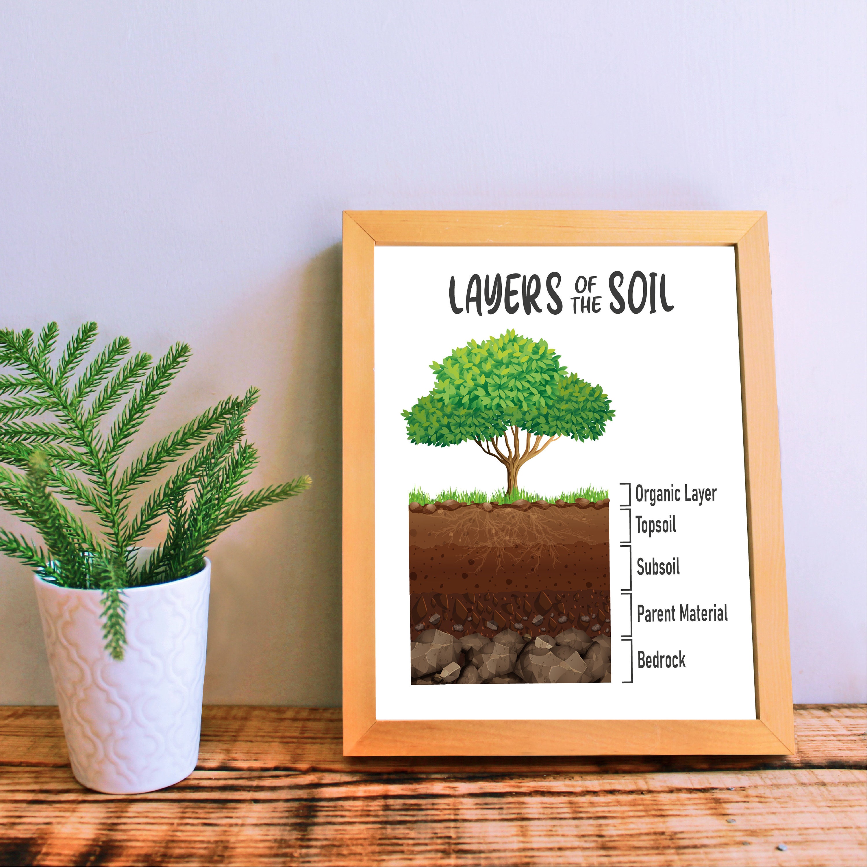 Layer of the Soil Poster, Earth, Montessori Materials, Homeschool ...