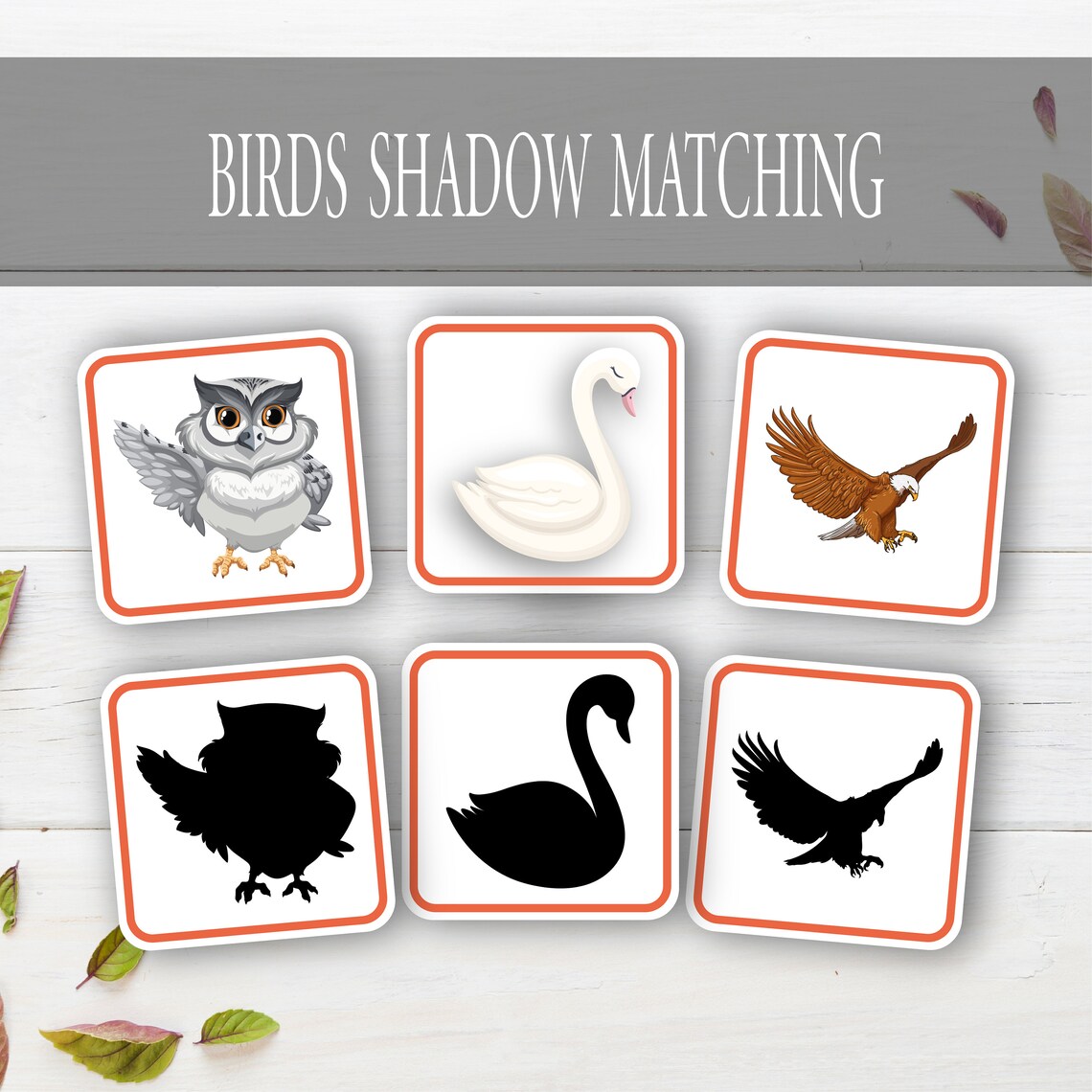 Birds Shadow Matching Game Cards Montessori Toddler Matching - Etsy