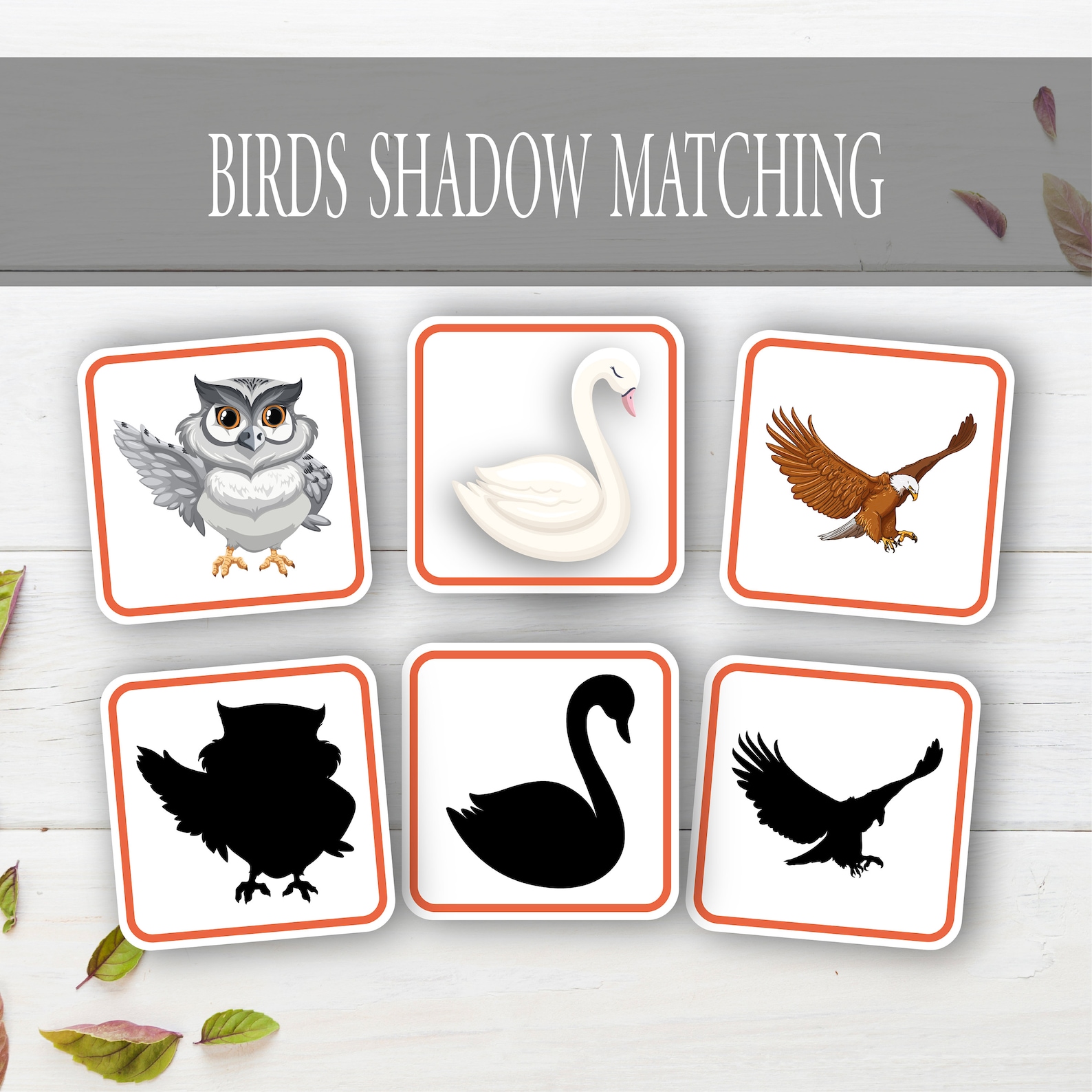 Birds Shadow Matching Game Cards, Montessori Toddler Matching Game ...